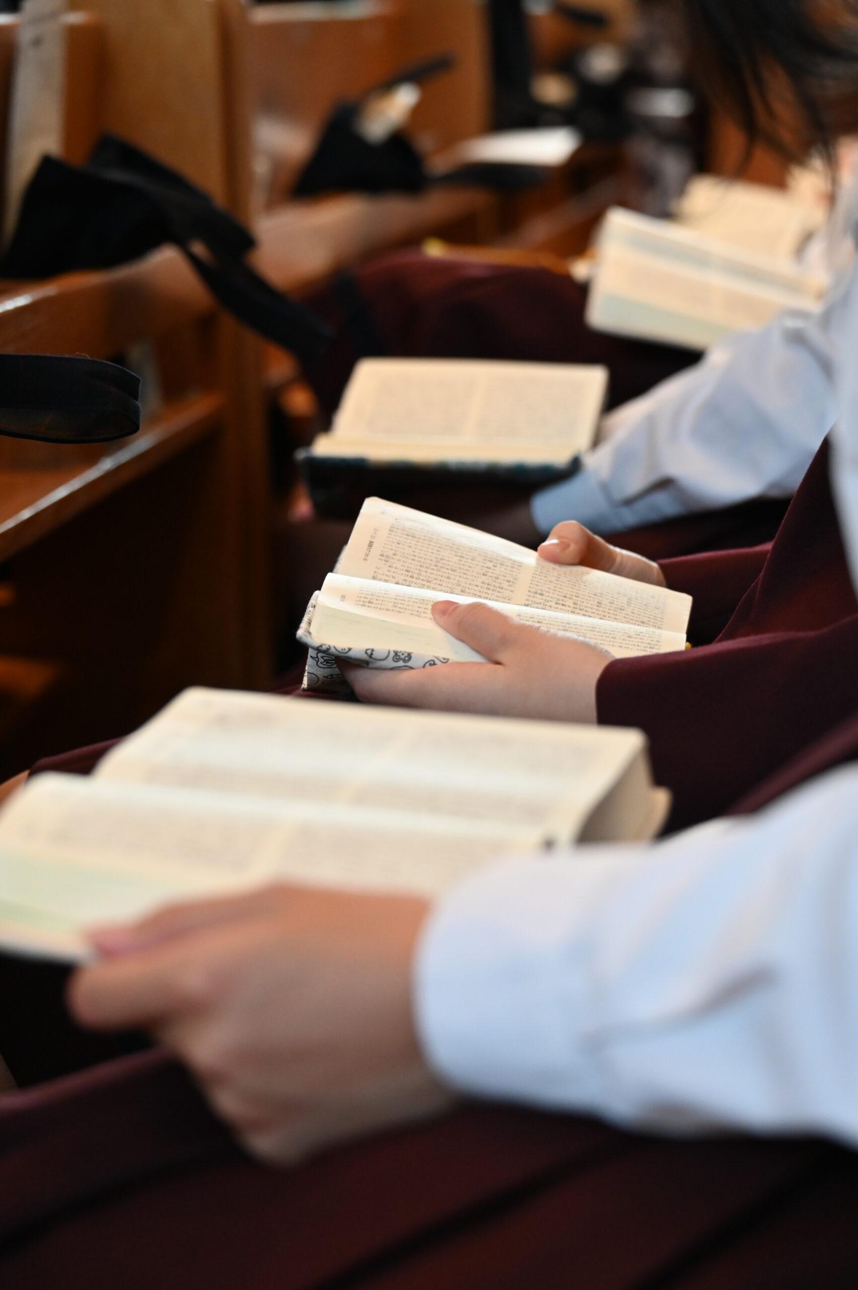 DSC_9496 | 共愛学園中学校